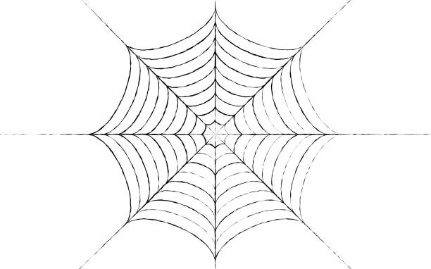 190+ Spider Spinning Web Illustrations, Royalty-Free Vector Graphics ... 190+ Spider Spinning Web Illustrations, Royalty-Free Vector Graphics ...