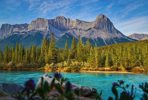Canmore Pictures | Download Free Images on Unsplash