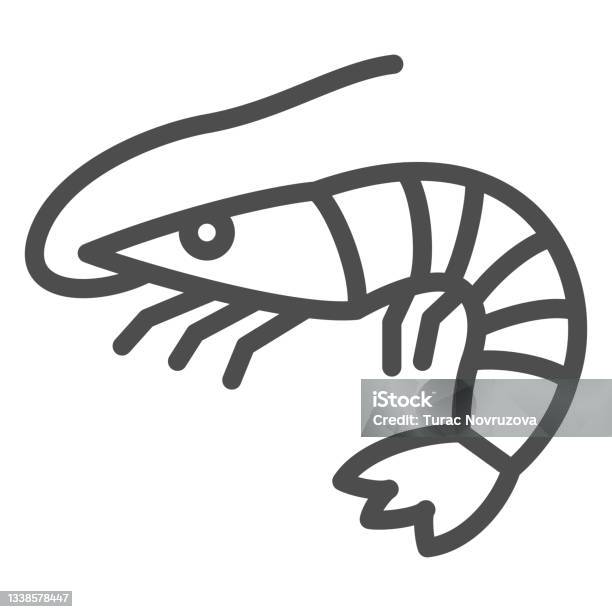 Icône De Ligne De Crevette Concept De Fruits De Mer Signe Vectoriel De