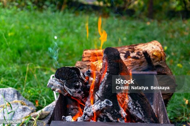 Api Unggun Yang Menyala Dari Kayu Bakar Ek Bertumpuk Dengan Latar