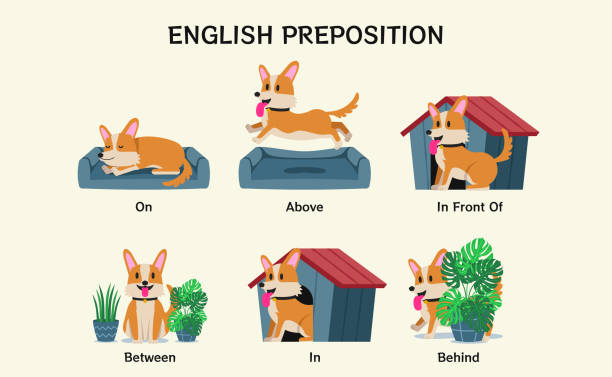 English prepositions Clipart Vector PNG , SVG, EPS, PSD, AI
