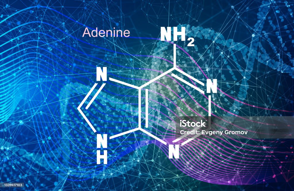 Chemical Structural Formula Of Adenine Dna And Rna Nitrogen Base Stock ... Chemical Structural Formula Of Adenine Dna And Rna Nitrogen Base Stock ...