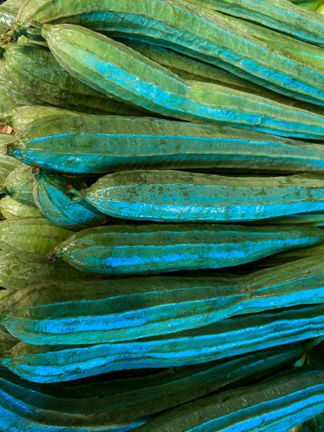 1,000+ Ribbed Gourd Stock Photos, Pictures & Royalty-Free Images - iStock 1,000+ Ribbed Gourd Stock Photos, Pictures & Royalty-Free Images - iStock