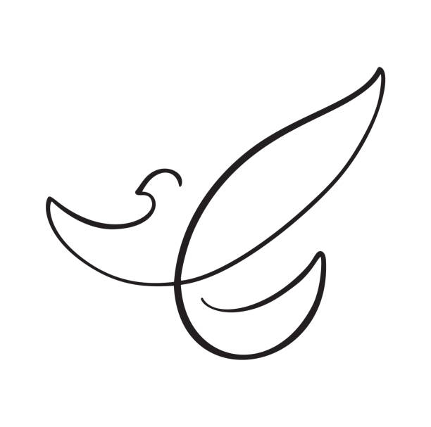 2 600 Doodle Doiseau Illustrations Graphiques Vectoriels Libre De