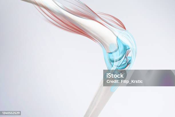 Photo Libre De Droit De Douleur Osseuse Et Musculaire Du Genou