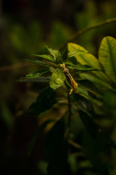 Embodiment Pictures | Download Free Images on Unsplash