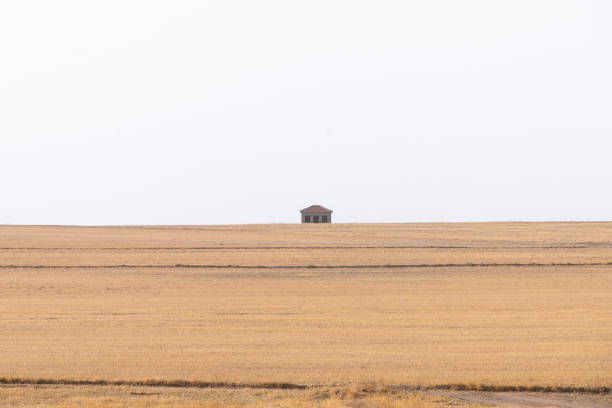 Free Stock Photo of A Lone House in the Middle of a Field | Download ...