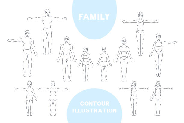 90 Clip Art Of A Girl Anatomy Ilustrasi Grafik Vektor And Clip Art