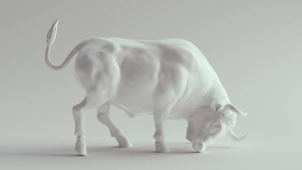 Bulls Pictures | Download Free Images on Unsplash