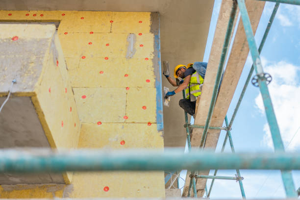 Free picture: construction worker, employment, facade, job ...