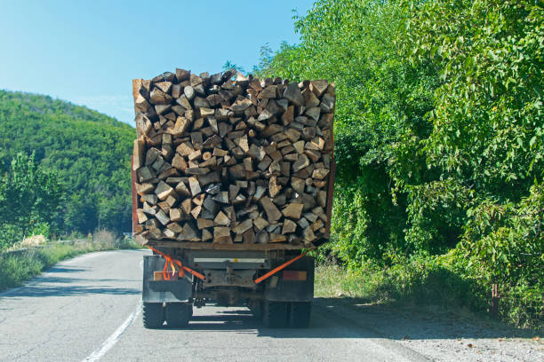 Free picture: logging, truck, load, saw, logs, road, forest, wood