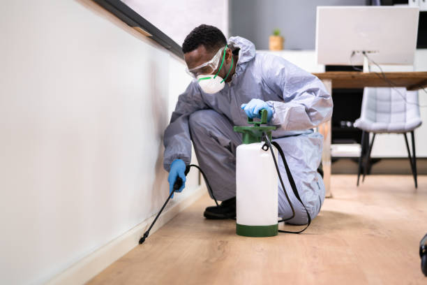 Pest Control Pictures | Download Free Images on Unsplash