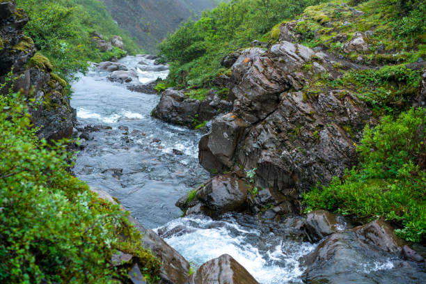 Small River Pictures | Download Free Images on Unsplash
