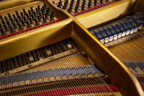 1K+ Grand Piano Pictures | Download Free Images on Unsplash