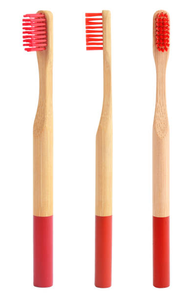 Bamboo Toothbrush Pictures | Download Free Images on Unsplash