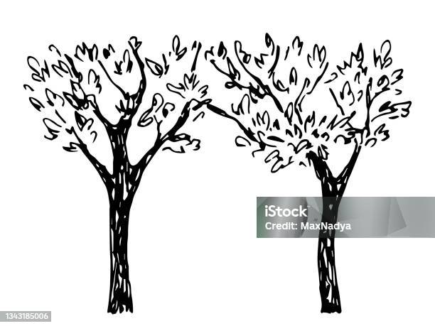 Dessin Vectoriel Simple Dessiné À La Main Dans Un Contour Noir Arbres À