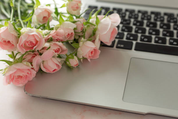 Pink Laptop Pictures | Download Free Images on Unsplash