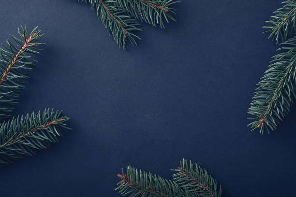 30,000+ Advent Pictures | Download Free Images on Unsplash