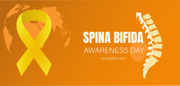 20 Spinal Bifida Stock Illustrations Royalty Free Vector Graphics