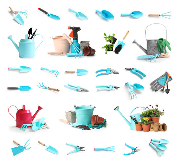 Free Stock Photo of Various yard objects | Download Free Images and ...