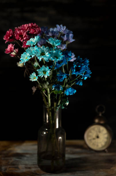 100+ Still Life Pictures | Download Free Images on Unsplash