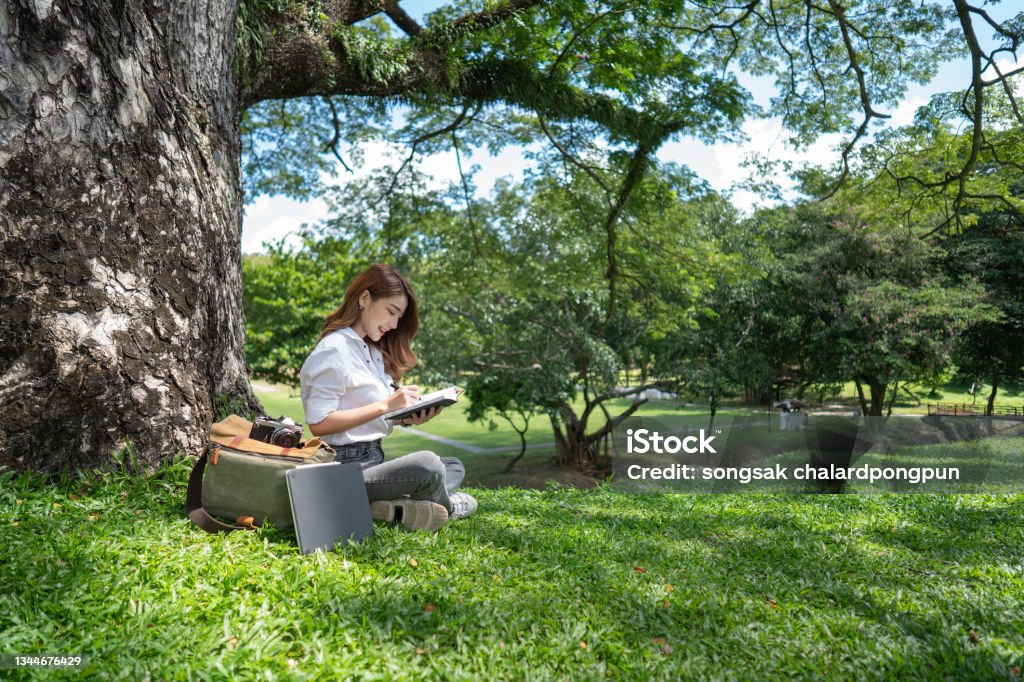 Wanita Duduk Di Bawah Pohon Membaca Buku Di Taman Foto Stok - Unduh ... Wanita Duduk Di Bawah Pohon Membaca Buku Di Taman Foto Stok - Unduh ...