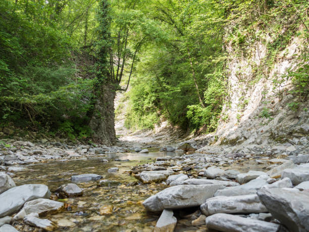 Riverbed Pictures | Download Free Images on Unsplash