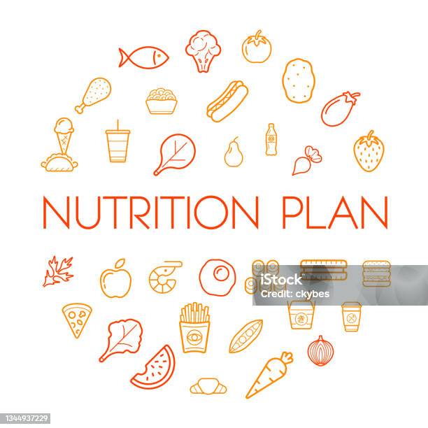 Icônes De Plan De Nutrition Avec Forme De Cercle De Signe Infographie