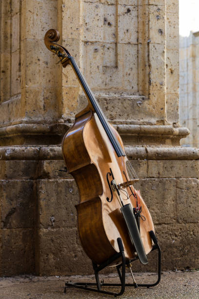 Double Bass Pictures | Download Free Images on Unsplash