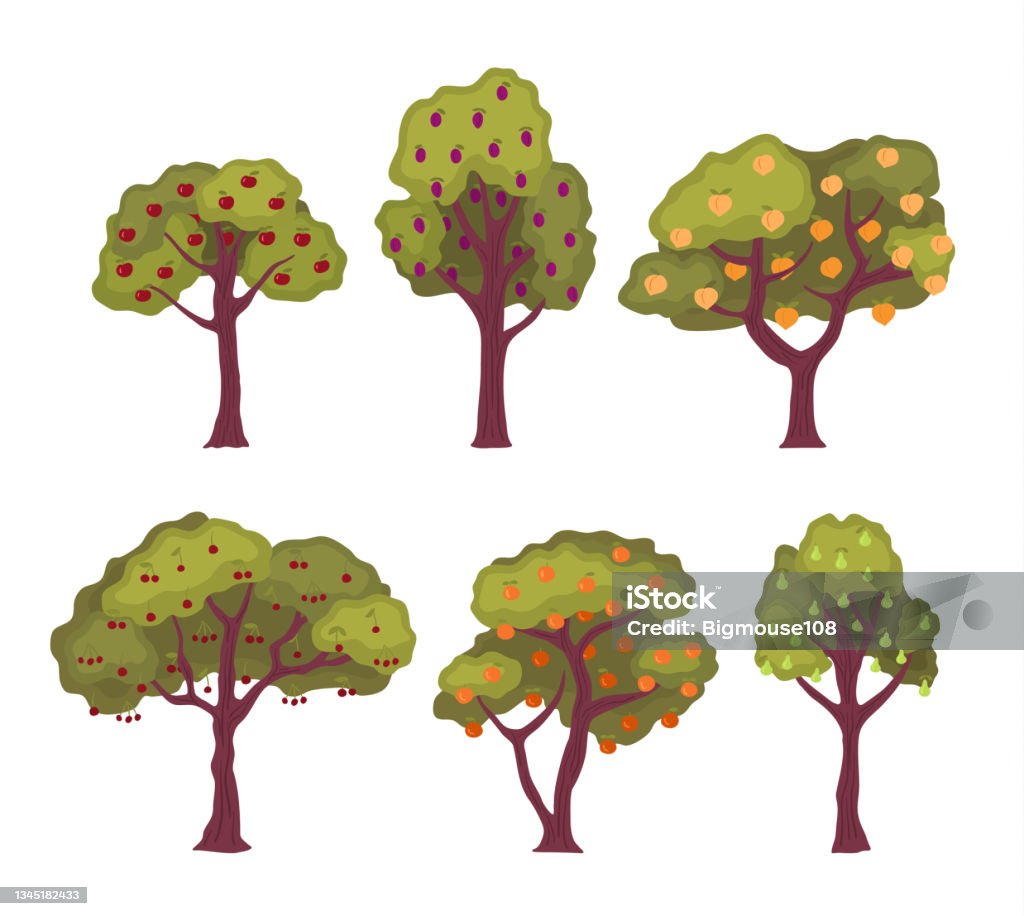 Ensemble Darbres Fruitiers En Couleur De Dessin Animé Vecteur Vecteurs