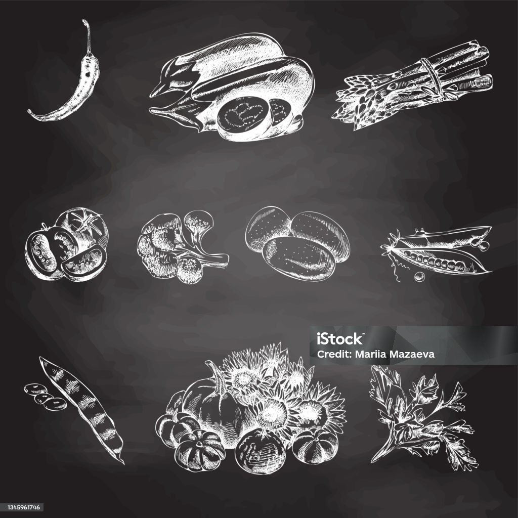 Ilustrasi Ucapan Syukur Yang Digambar Tangan Vektor Menu Makanan ... Ilustrasi Ucapan Syukur Yang Digambar Tangan Vektor Menu Makanan ...