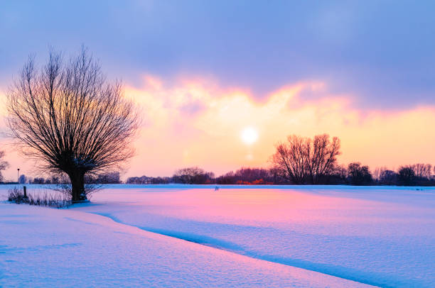 Ambiance Pictures | Download Free Images on Unsplash