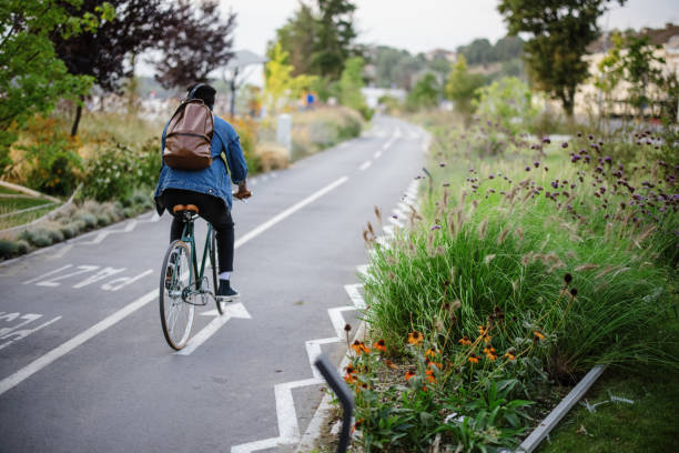 Bike Path Pictures | Download Free Images on Unsplash