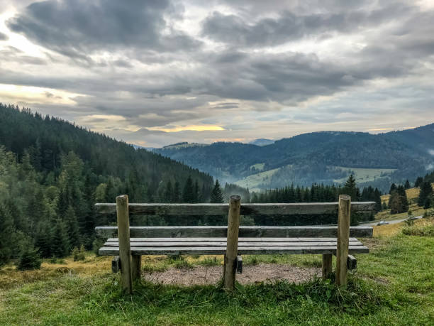 Free Stock Photo of Park Bench in Forest | Download Free Images and ...