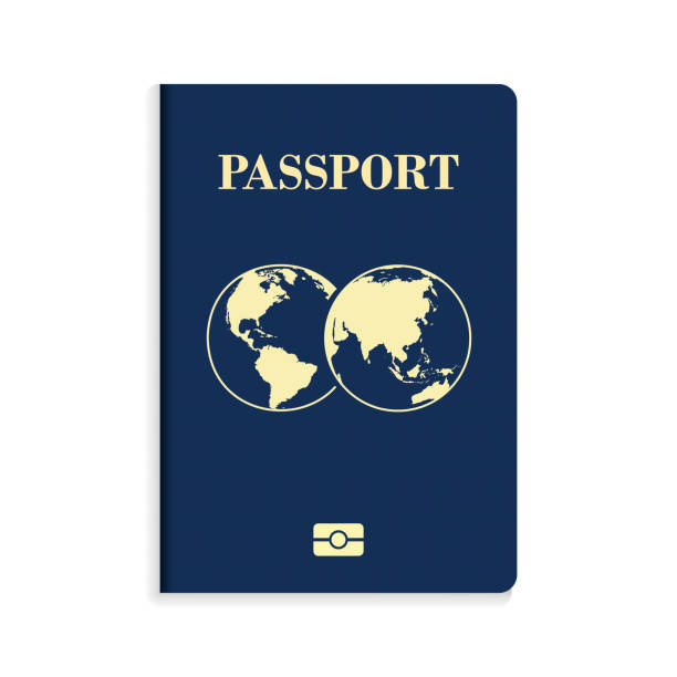 1 300 Biometric Passport Stock Illustrations Royalty Free Vector