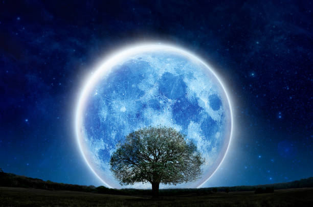Moon Aesthetic Pictures | Download Free Images on Unsplash
