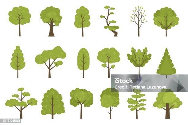 Icônes Darbres Forestiers Plats Éléments De Paysage De Jardin Ou De