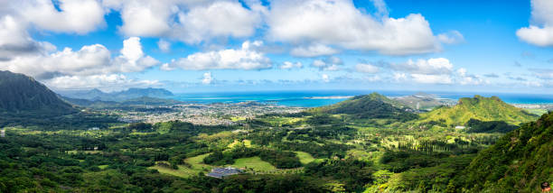Kailua Pictures | Download Free Images on Unsplash
