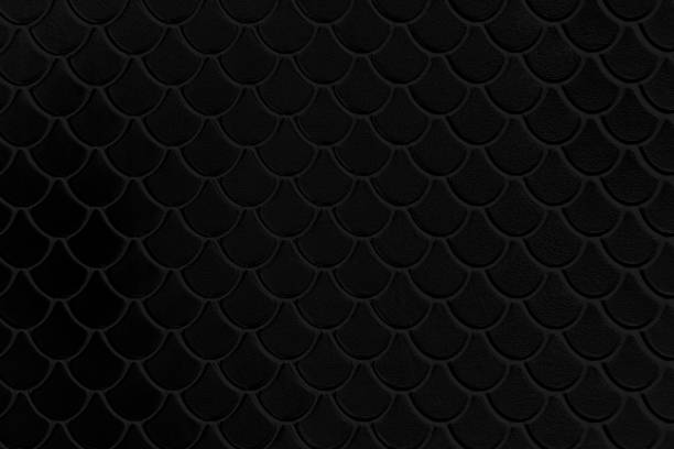 Black Mamba Pictures | Download Free Images on Unsplash
