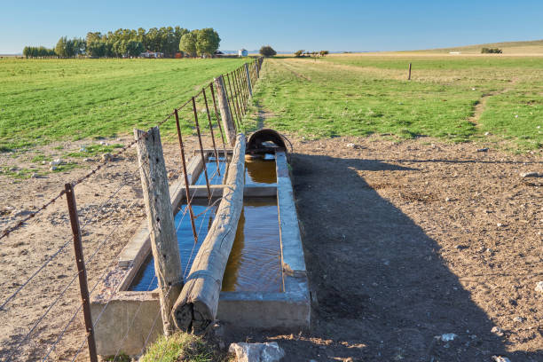 Free water trough stock photos. Download the best free water trough ...