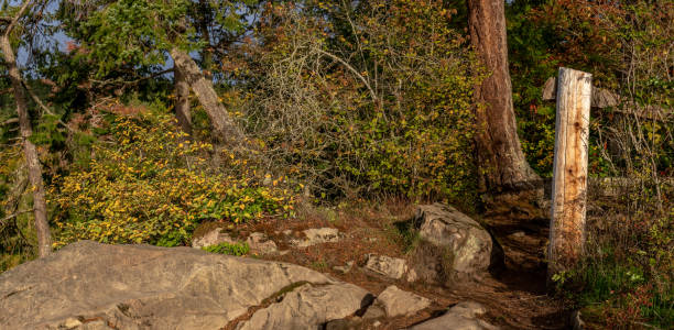 samish-bay Premium Photos, Pictures and Images by Istock