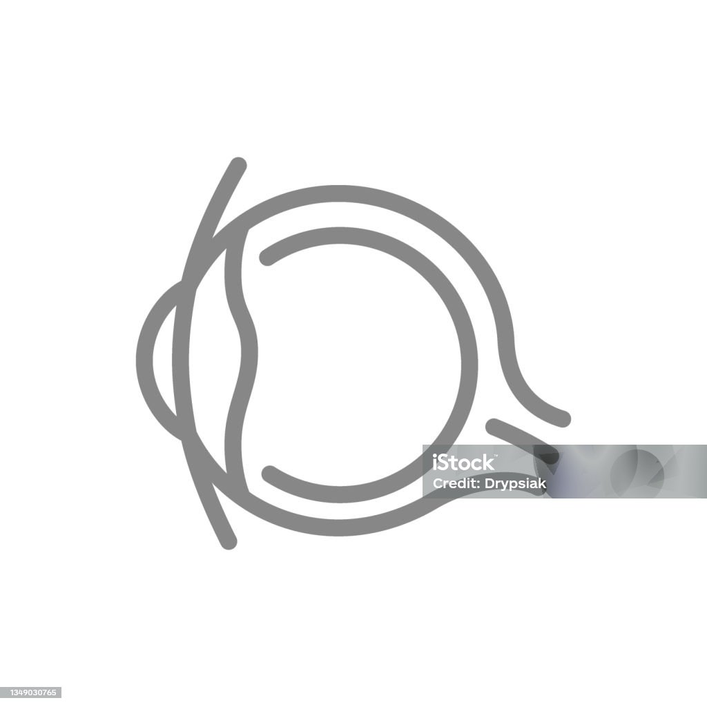 Ilustración De Icono De Línea De Ojo Humano Órgano Sano Del Símbolo Del