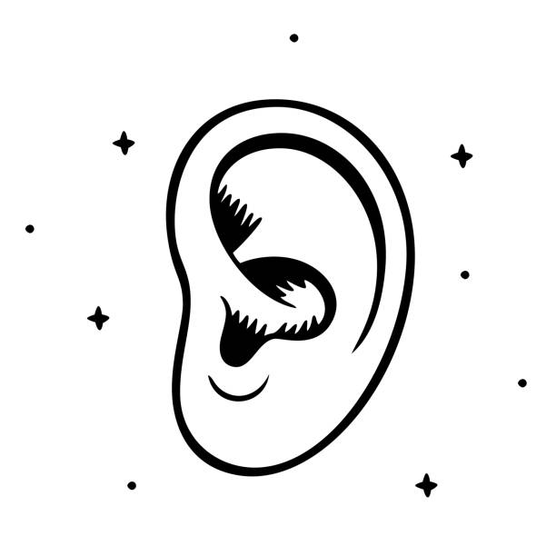 Human Ear Clipart Black And White