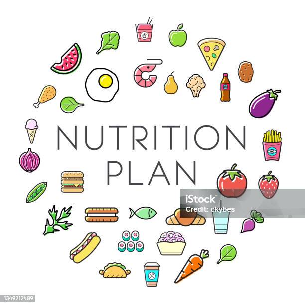 Icônes De Plan De Nutrition Avec Forme De Cercle De Signe Infographie
