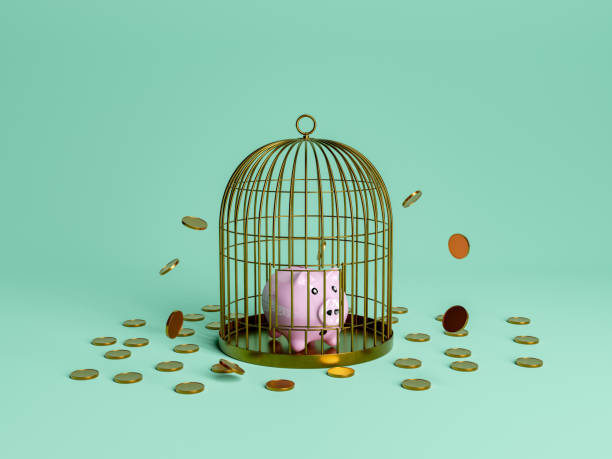 Best 500+ Cage Pictures | Download Free Images on Unsplash