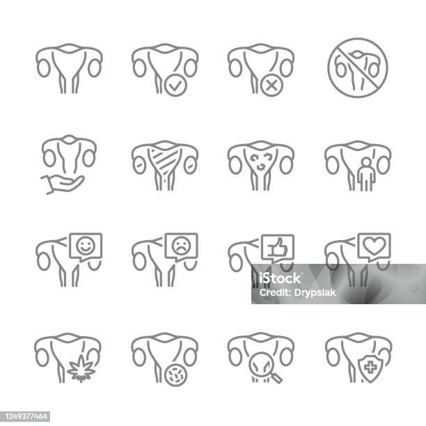 Set Ikon Garis Uterus Wanita Organ Internal Yang Sehat Penyakit Sistem