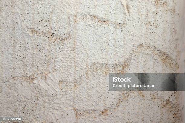 Textura De Yeso Sin Costuras Moteada Textura De Pared De Yeso Textura ... Textura De Yeso Sin Costuras Moteada Textura De Pared De Yeso Textura ...