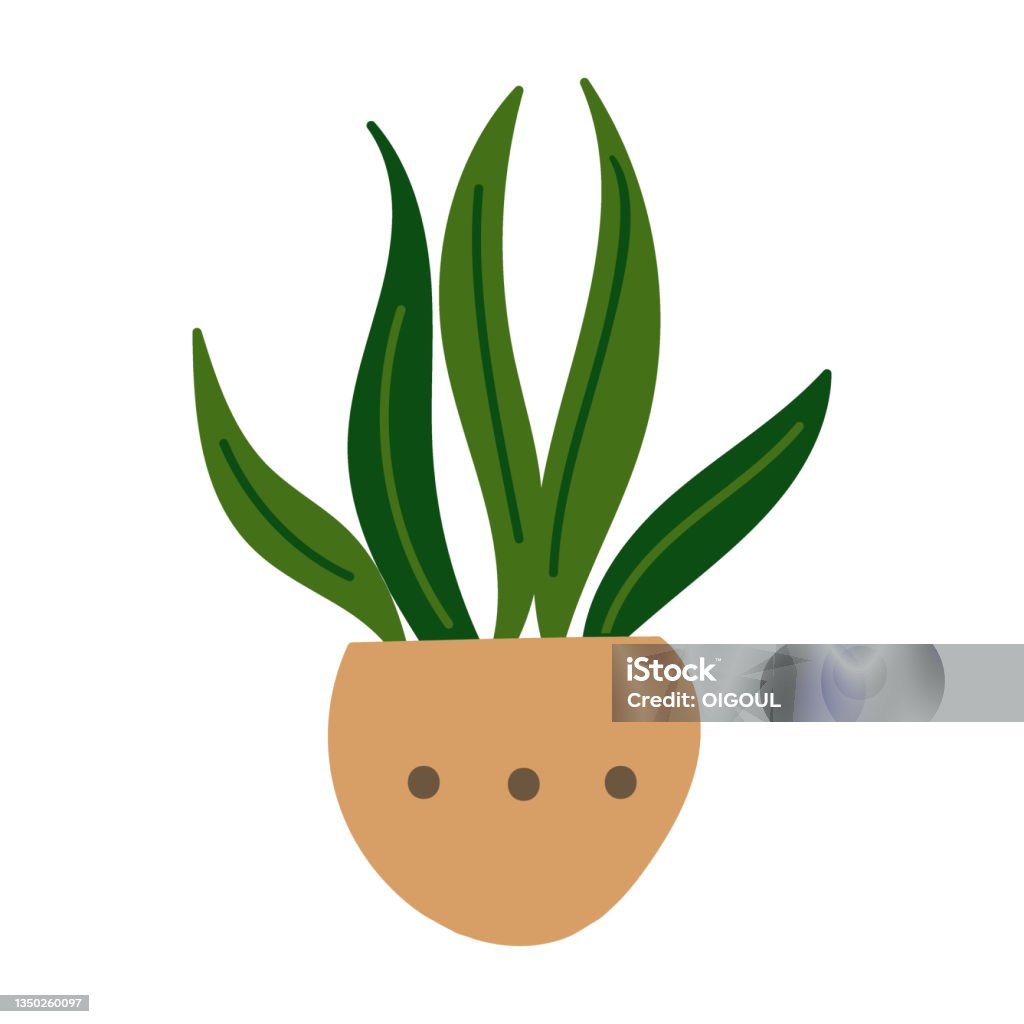 House Plant Design Vector Illustration Stock Illustration Download