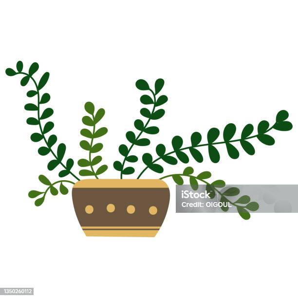House Plant Design Vector Illustration Stock Illustration Download