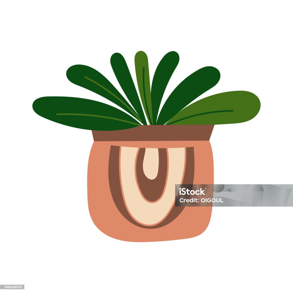 House Plant Design Vector Illustration Stock Illustration Download